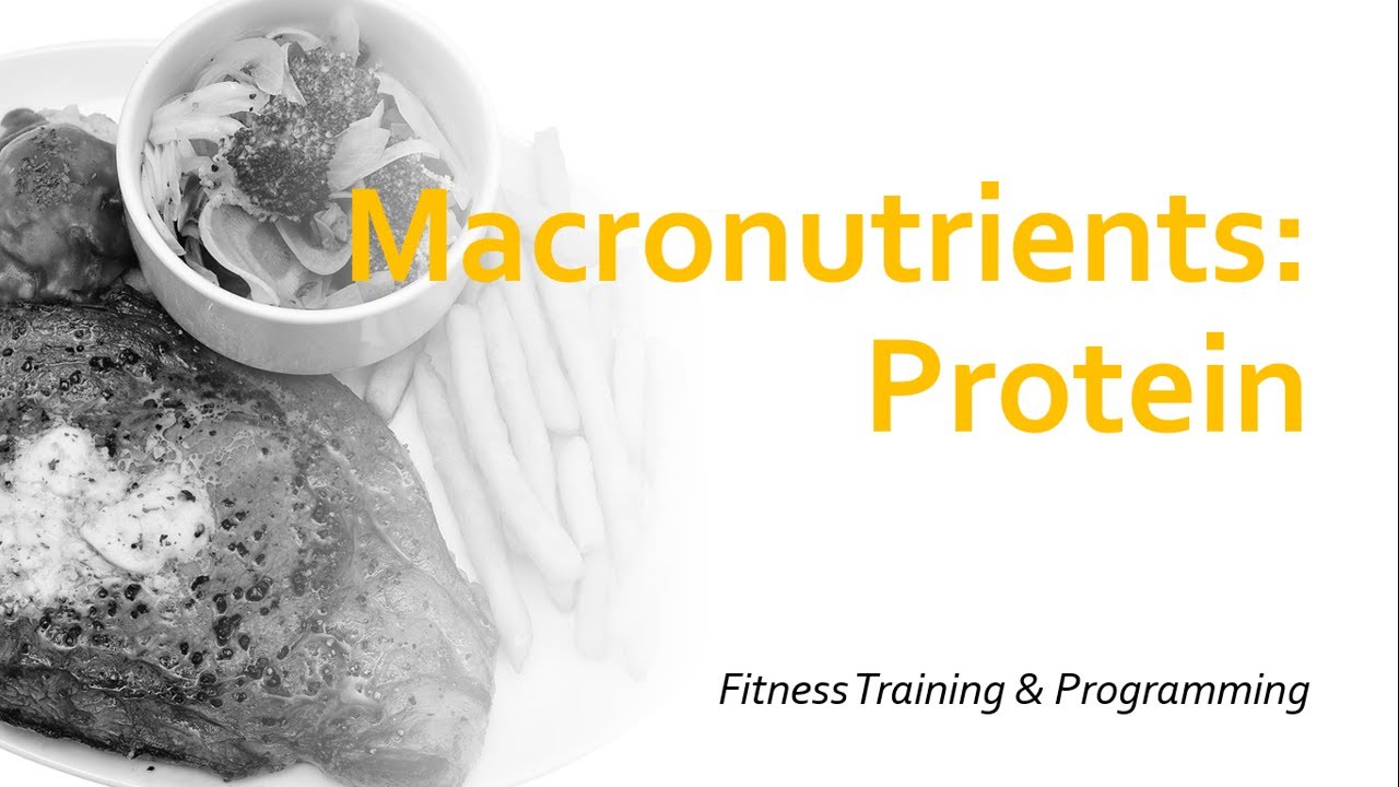 Macronutrients: Protein | Fitness Training & Programming – WeightBlink