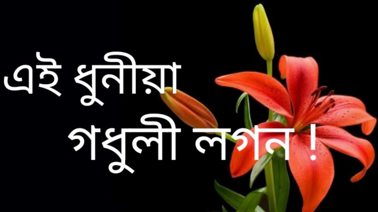 এই ধুনীয়া গধুলী লগন//ai dhuniya godhuli logon//Assamese viral song ...