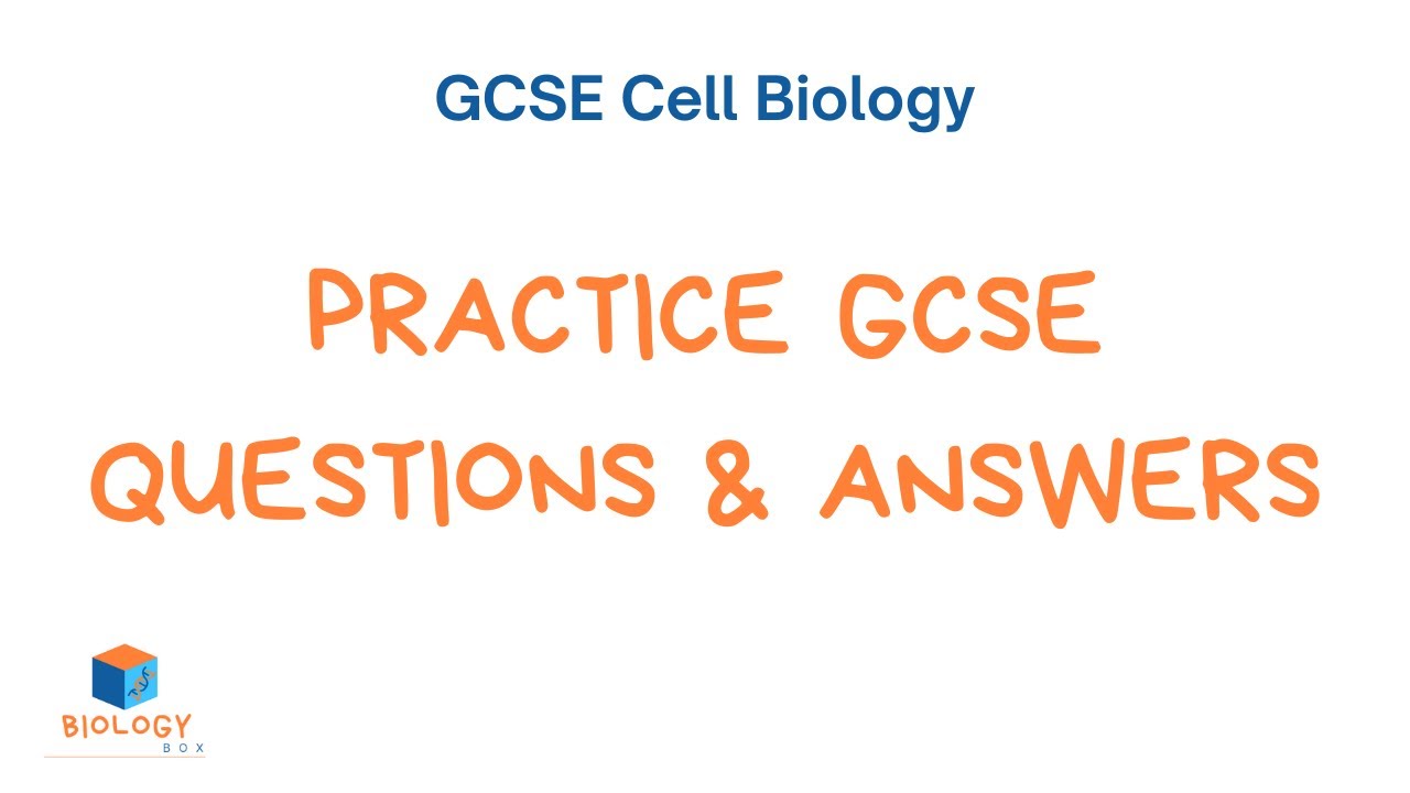 GCSE Cell Biology Practice Exam Question (GCSE Biology - Cell Biology ...
