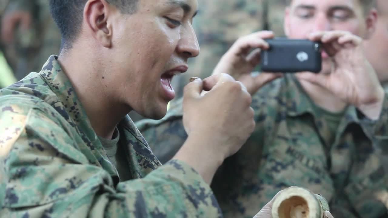 US Marines Eat Bugs In Thailand Jungle During Survival Training - YouTube