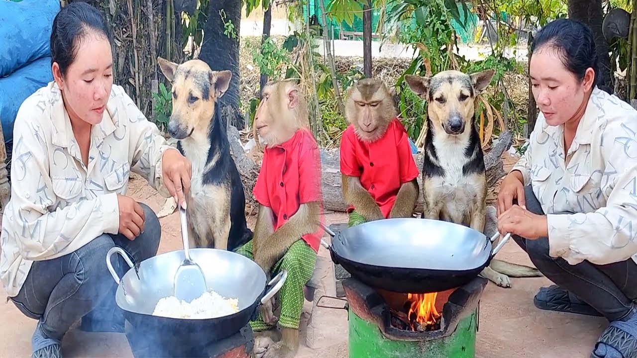 Amazing Video Of Mother Cooking Fried Rice Eggs & Eating Yummy At Home ...