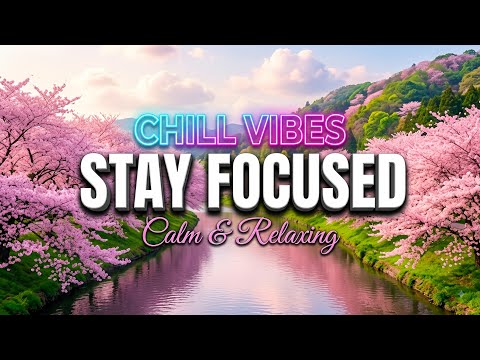 🎧 FOCUS BOOSTER ⚡ DJ Slow Chill Remix | Deep Bass Background Music for Work & Study