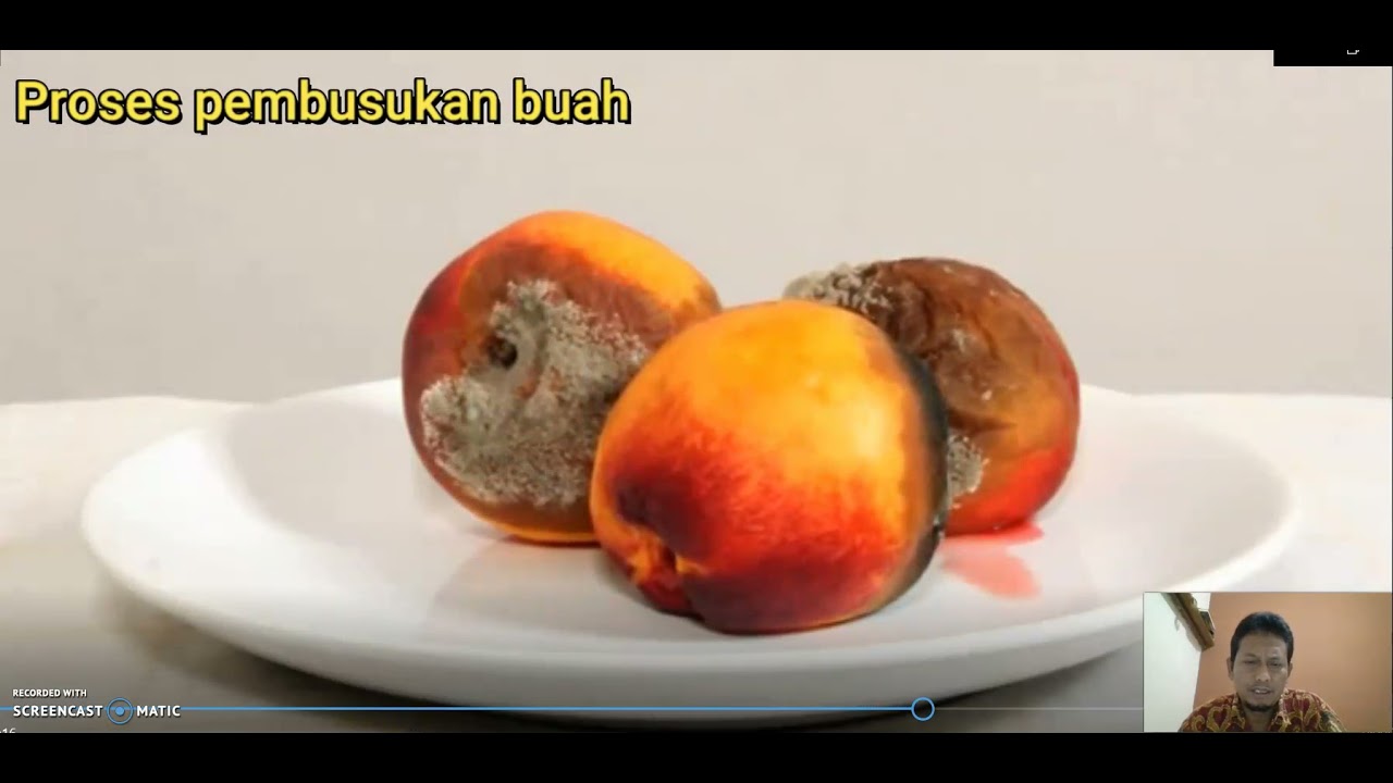 Contoh Stimulus Pembelajaran Kimia Discovery Learning - YouTube