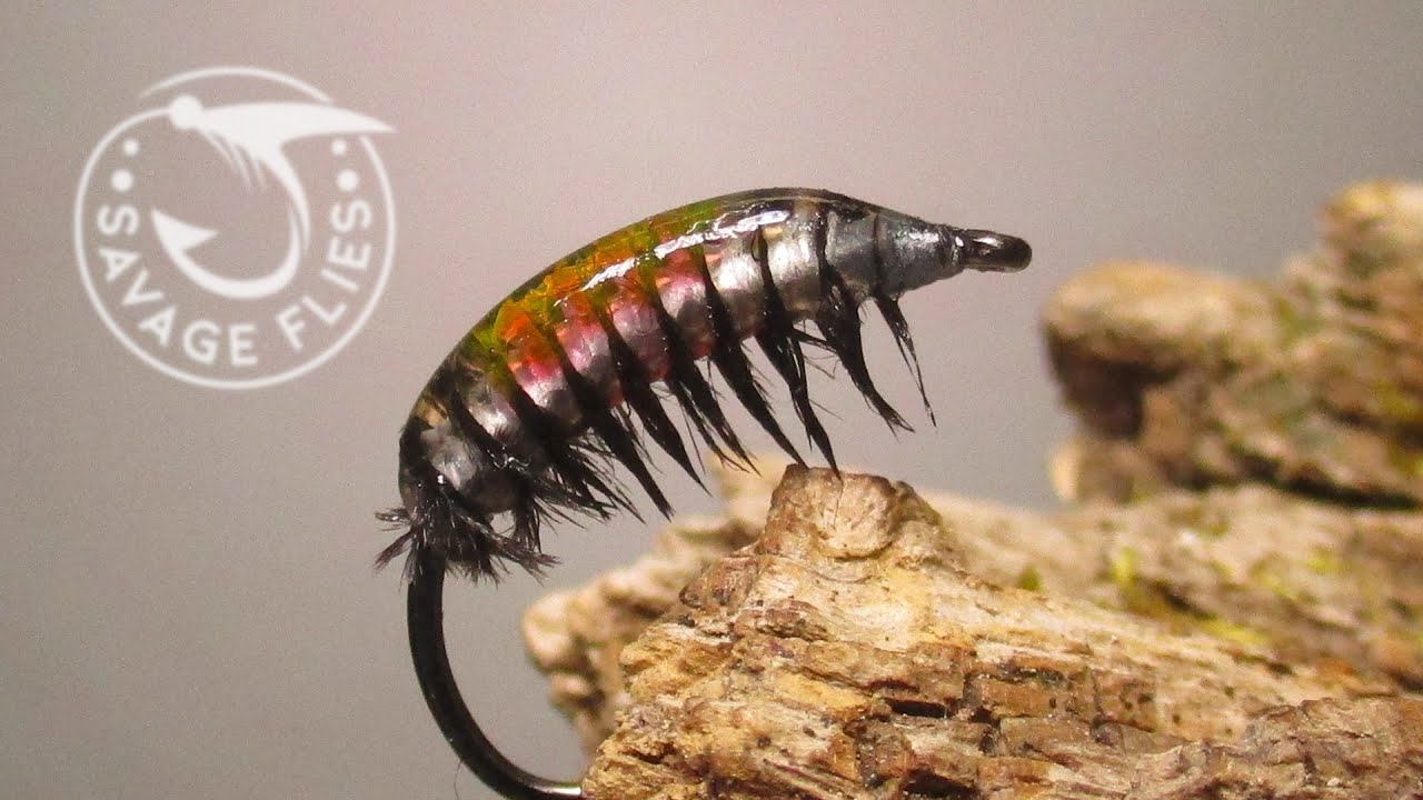 What the heck is a gammarus? (Let's tie a scud.) - YouTube