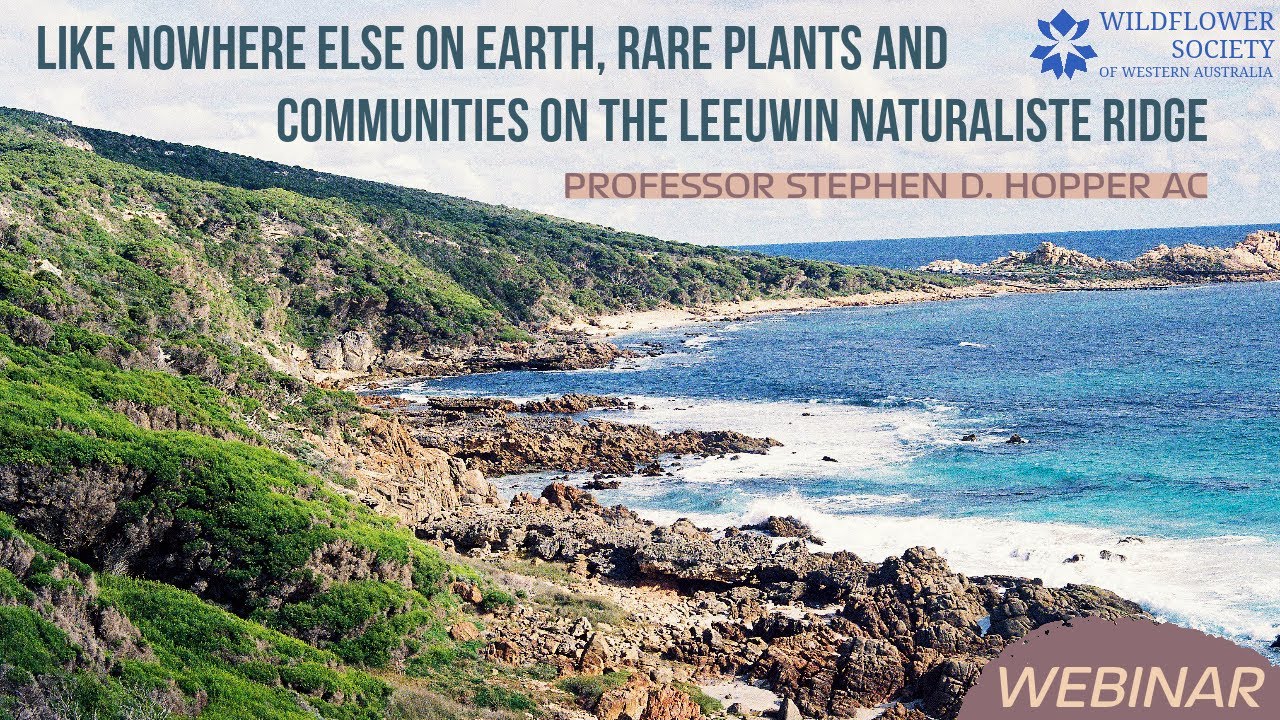 Like Nowhere Else on Earth: Rare plants and communities on the Leeuwin ...