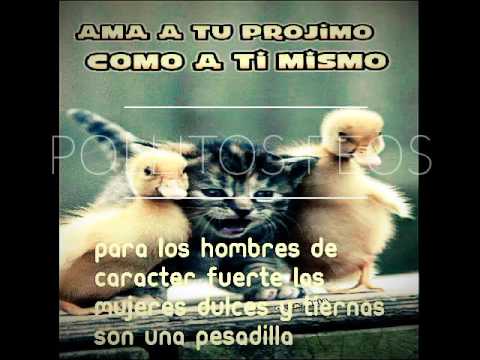 Pollitos feos - YouTube