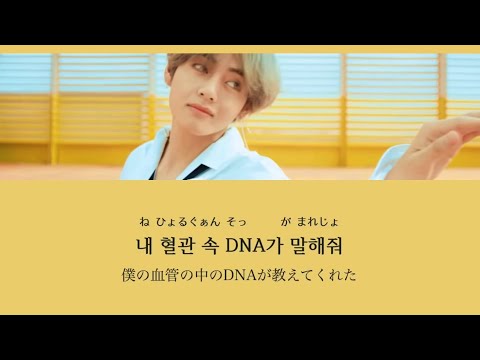 【カナルビ/日本語訳】  DNA - BTS (防弾少年団)