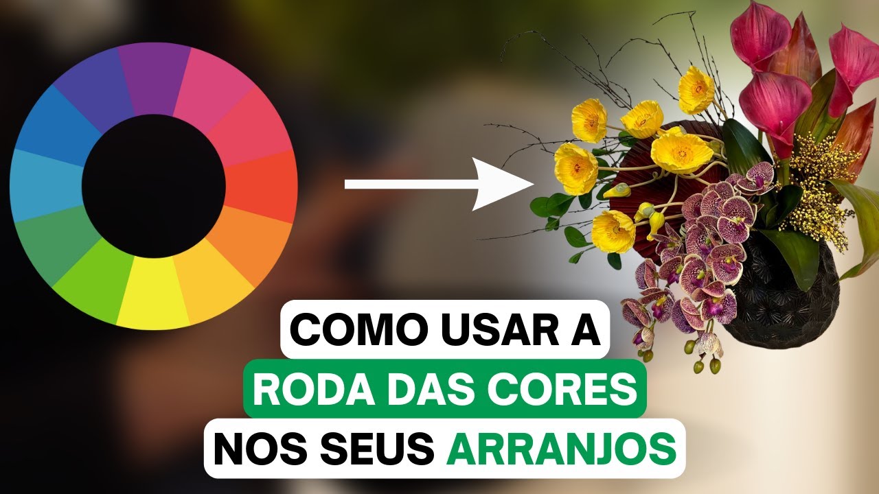 Roda De Cores Dupla Complementar Círculo Cromático O Guia