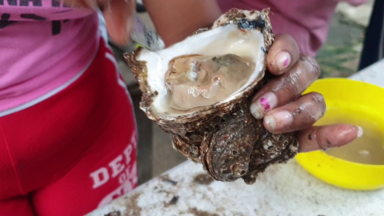 Mayaro Food Vibes | Trinidad & Tobago 🇹🇹 - YouTube