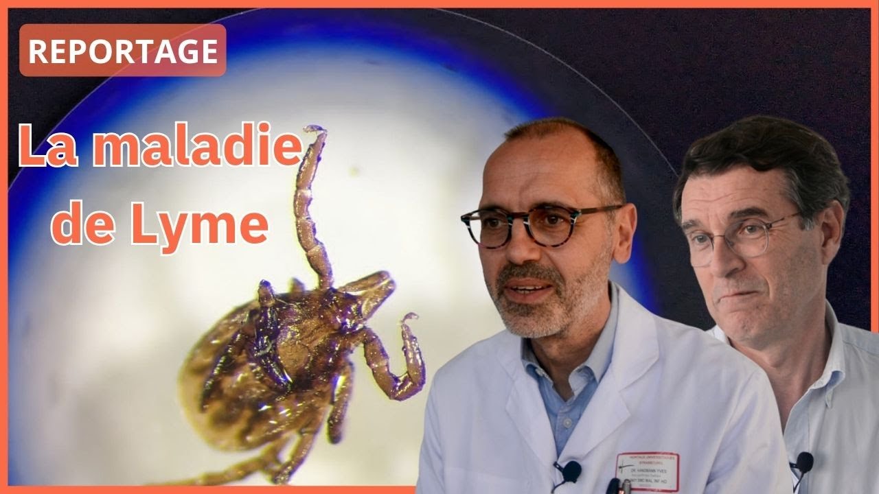 Maladie de Lyme : l'infection par la tique, c'est pas automatique ...