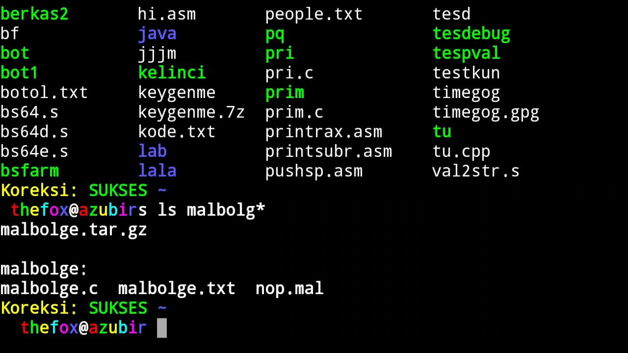 compile an interpreter of Malbolge - YouTube