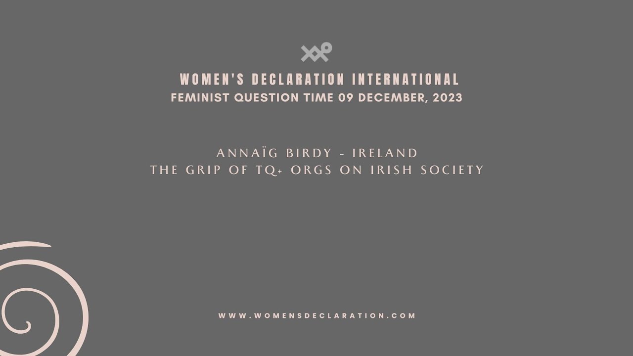 Annaïg Birdy - The Grip of TQ+ Orgs on Irish Society #WDI #FQT - YouTube