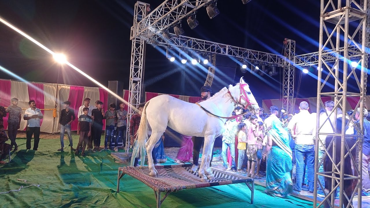 🐎 ghodi dance video must watch this video.2023💃🥰shadi me ghodi ne kra ...