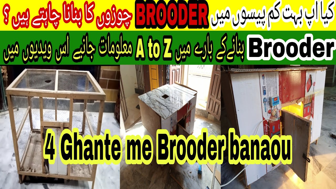 How to make Brooder for chicks | Thermostat for brooder | How to wire ...