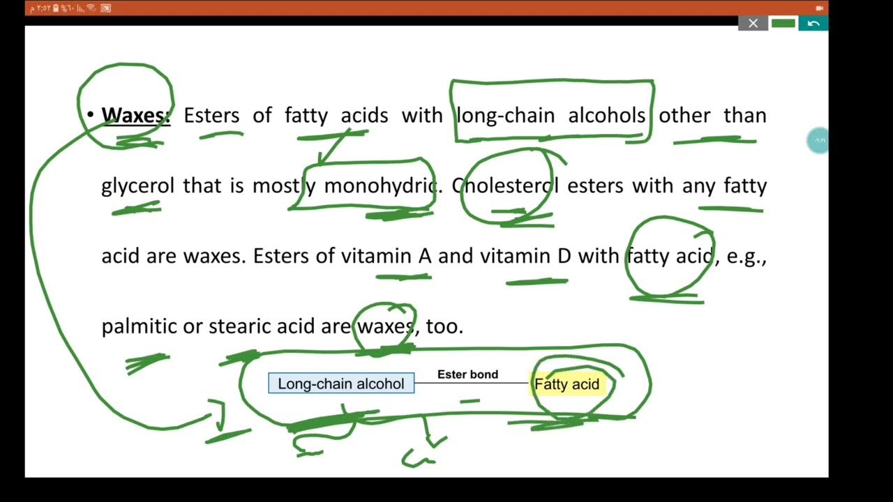 Functions and structures of lipids - YouTube