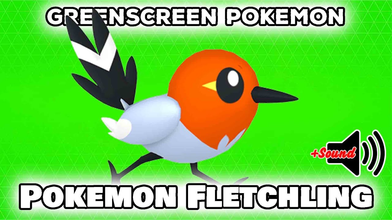 Pokémon Fletchling | GreenScreen | Pokemon GO | 👍POGO - YouTube