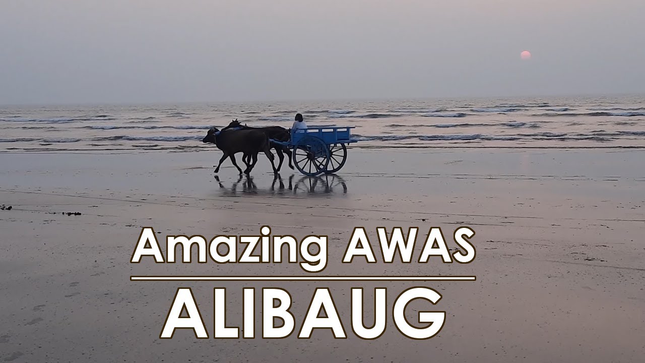 Amazing Awas Village ALIBAUG || Jogeshwari Temple || Awas Fish Market ...