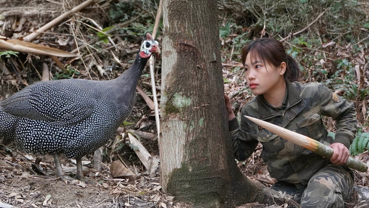 hunting pheasants, wild chickens, wild bird trapping skills, survival ...