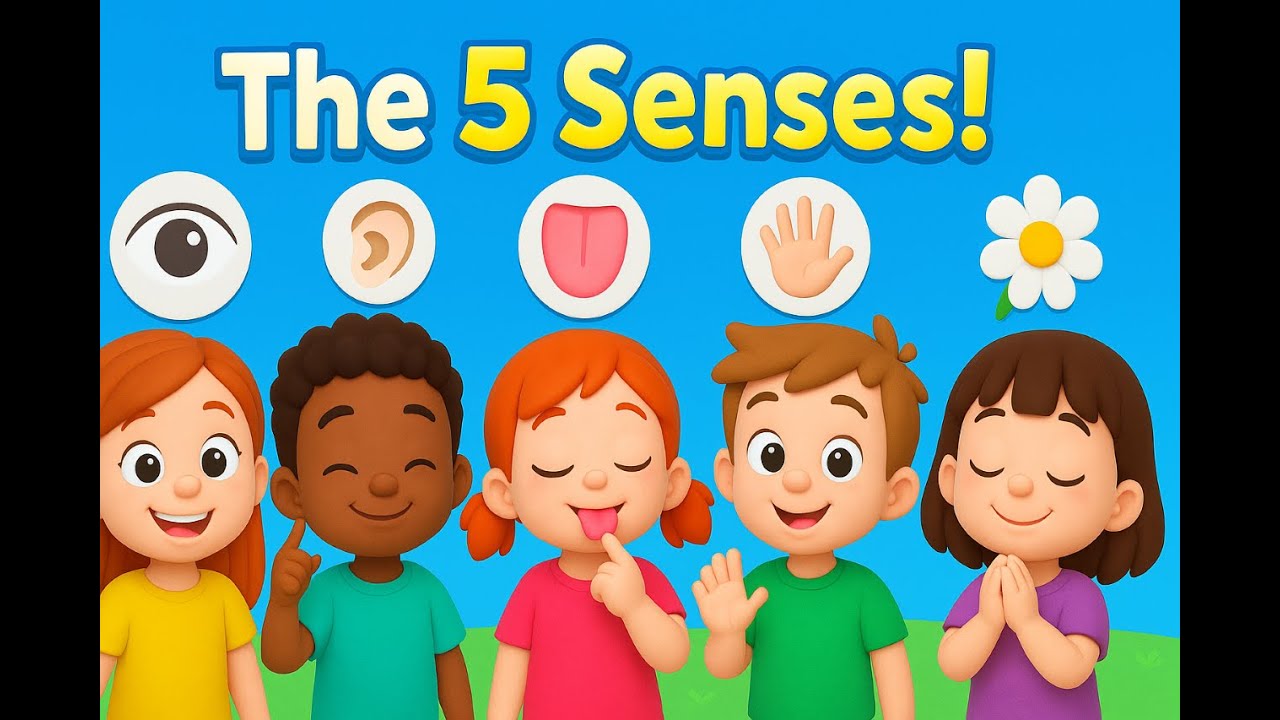 Our Five Senses Song | Nursery Rhymes | Kids Songs | TwinkleBeez ...