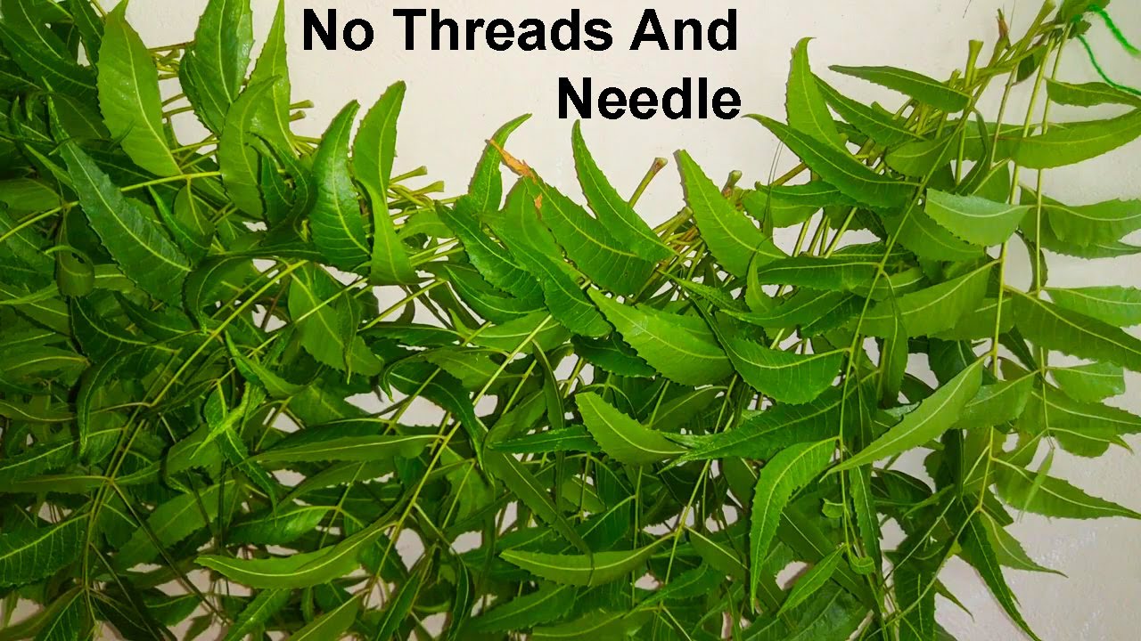 $ How To String, Tie Neem Leaf Garland,Veppilai Malai Making,Veppilai ...