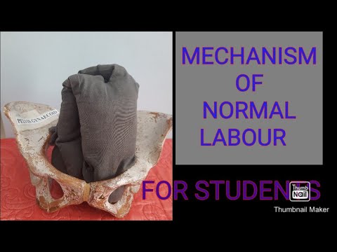 MECHANISM OF NORMAL LABOUR -LOA/ROA - YouTube