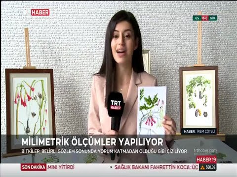 BOTANİK BİLGİSİ SANATLA BULUŞUYOR / 31.10.2021 - HABER