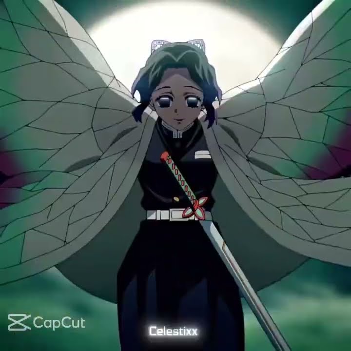 #anime #tandiro - YouTube