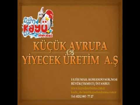 kayu dondurma