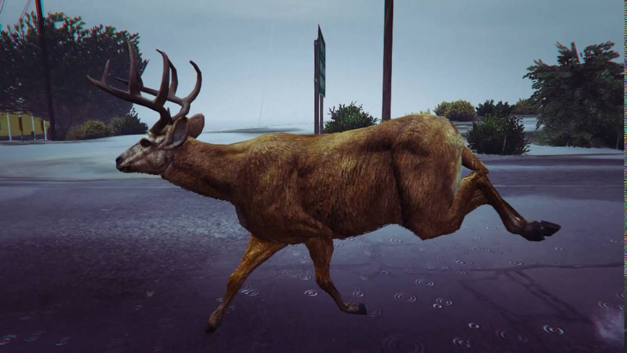 GTA 5 Editor - Deer hit by car - YouTube