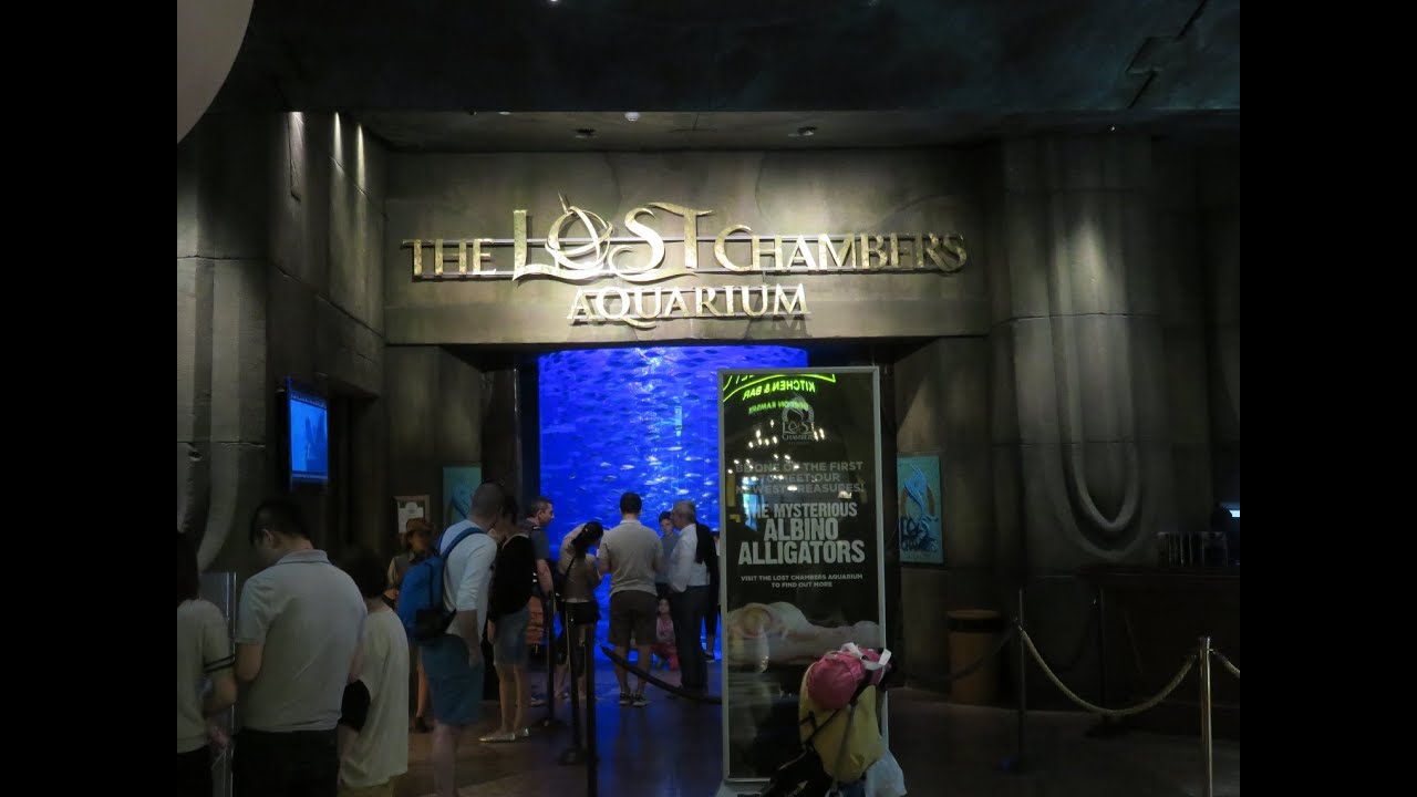 Inside the lost chamber of Atlantis, Palm jumeirah, DUbai - YouTube