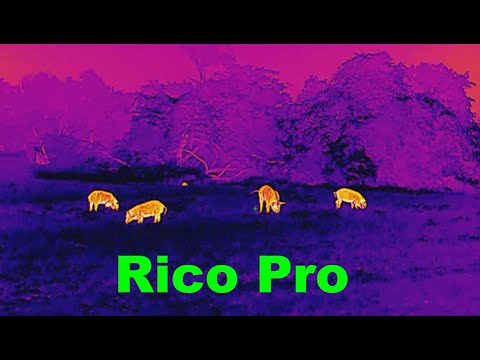 Rico Pro Review Infiray Outdoor/ IrayUSA - YouTube