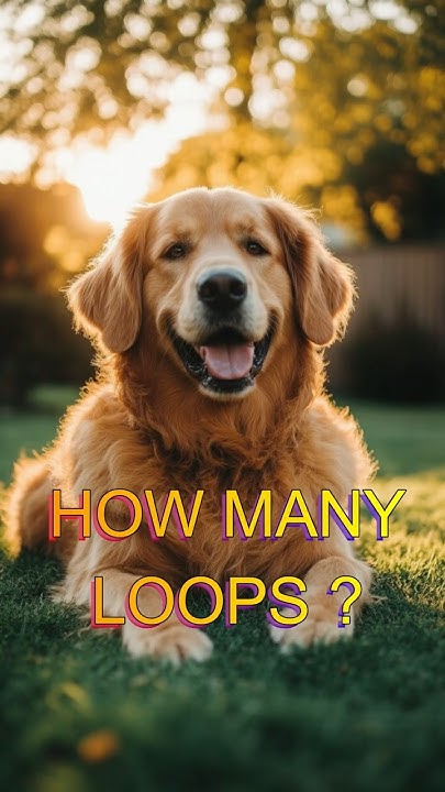 How many loops until you get it right? #047 #butterflycount #loopfun #howmanyloops - YouTube