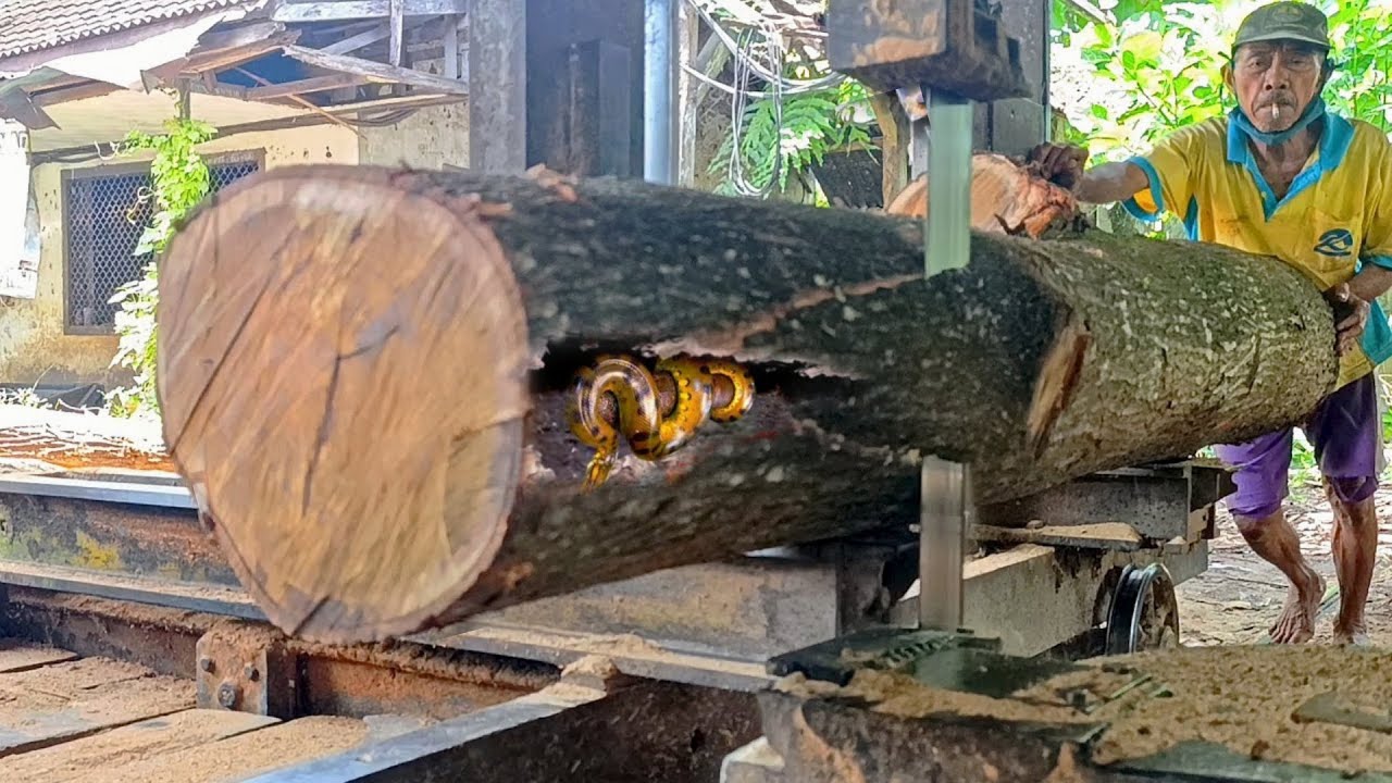 Incredible skill of old man sawing hard acacia wood - YouTube