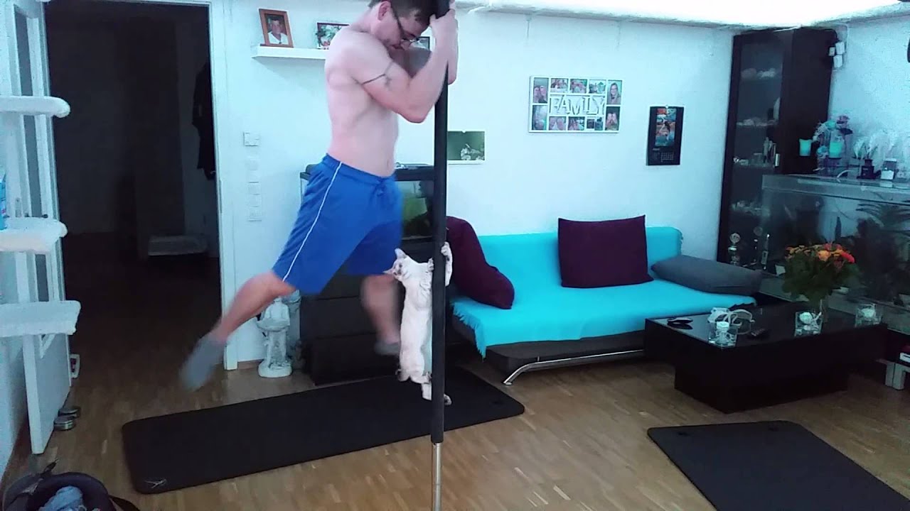 Coolest cat in the house makes pole dancing - YouTube