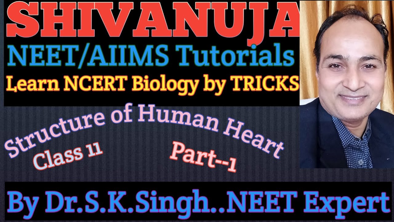 STRUCTURE AND PHYSIOLOGY OF HUMAN HEART | SHIVANUJA TUTORIALS...NEET ...