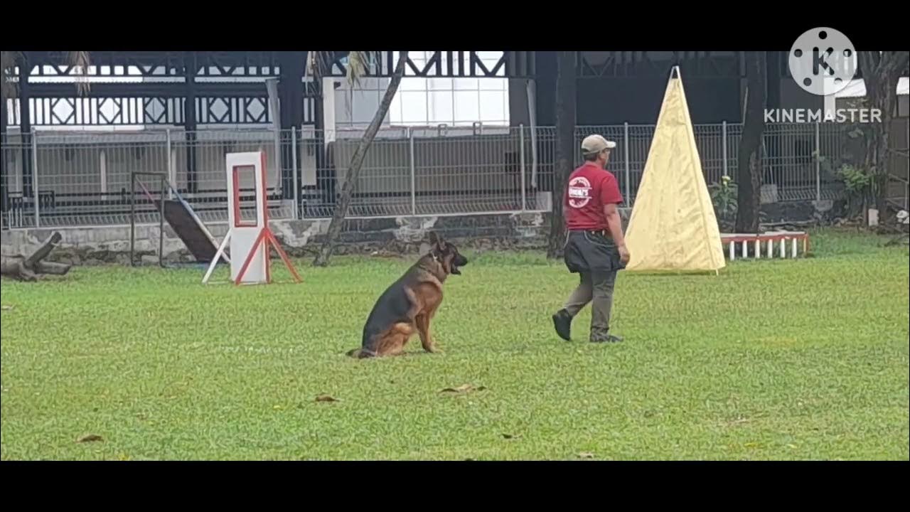 New IPO IGP BH -VT Exam Routine 2025 - YouTube