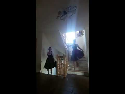 geburtstagsjodler(parodie) - elisalizz