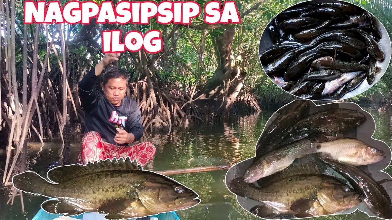 MARAMING HULING BAKULI/Nagpasipsip sa ilog - YouTube