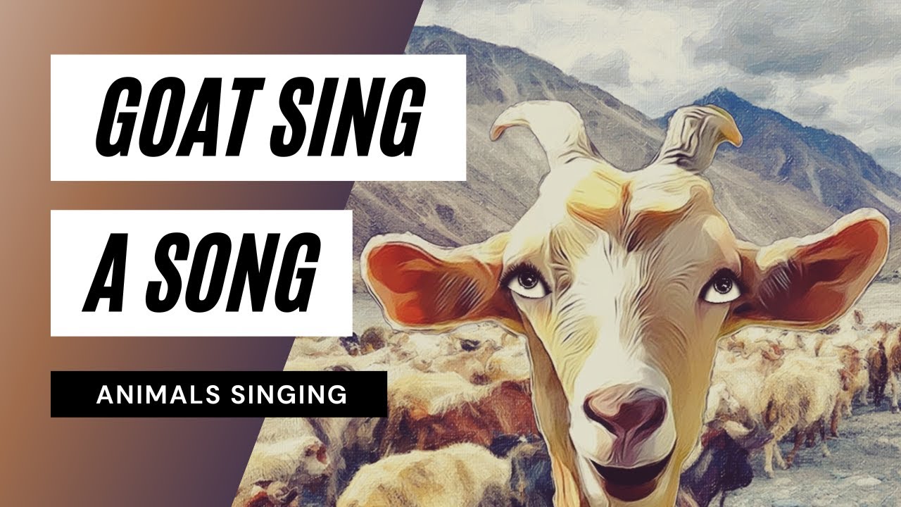 Goat Sing a Song - funny goat singing song 🐐 - YouTube