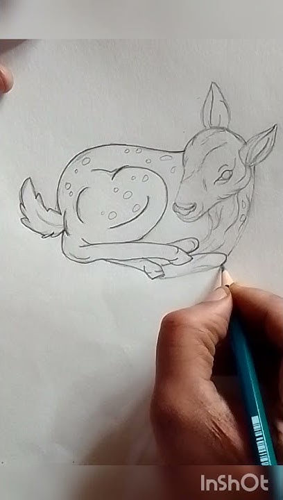 how to draw a fawn. #shorts# - YouTube