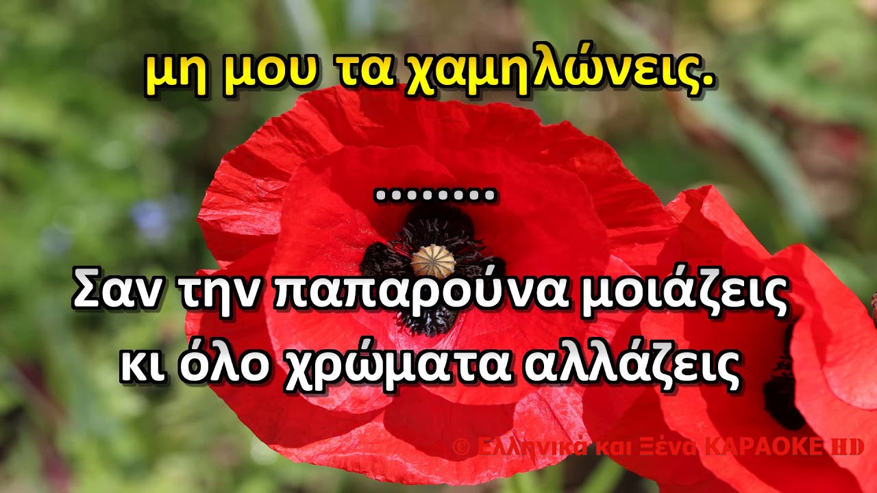 Παπαρούνα Νότης Καραόκε HD - YouTube