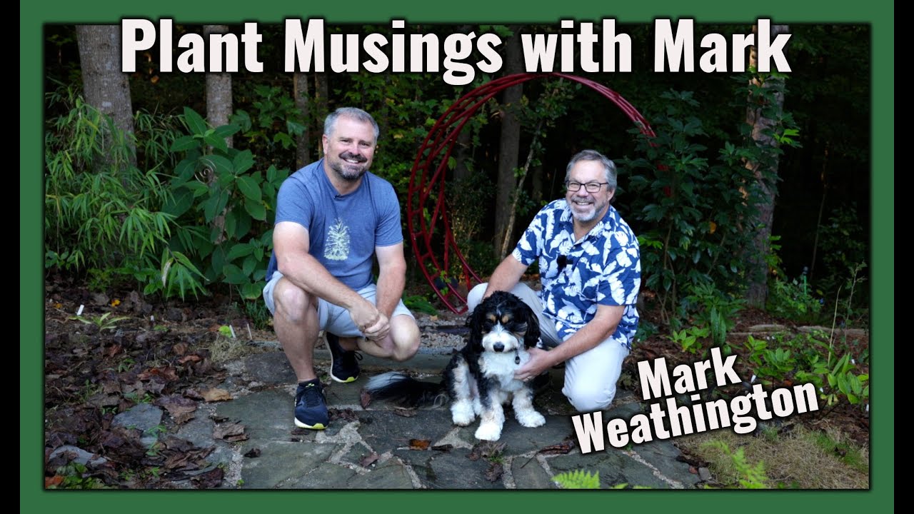 Plant Masters with Mark Weathington - Amazing Home Garden Tour - Ep12 ...