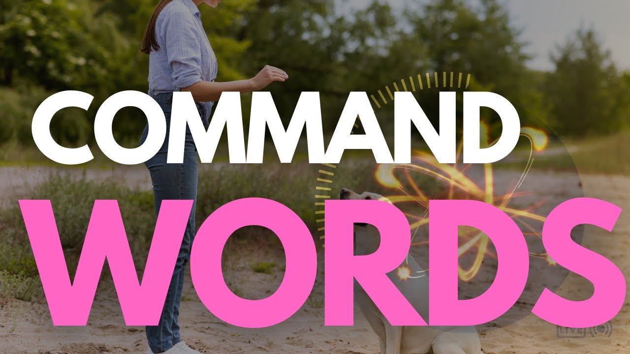 Command Words 1 | O level/IGCSE | Chemistry with Ahmed Bokhari - YouTube