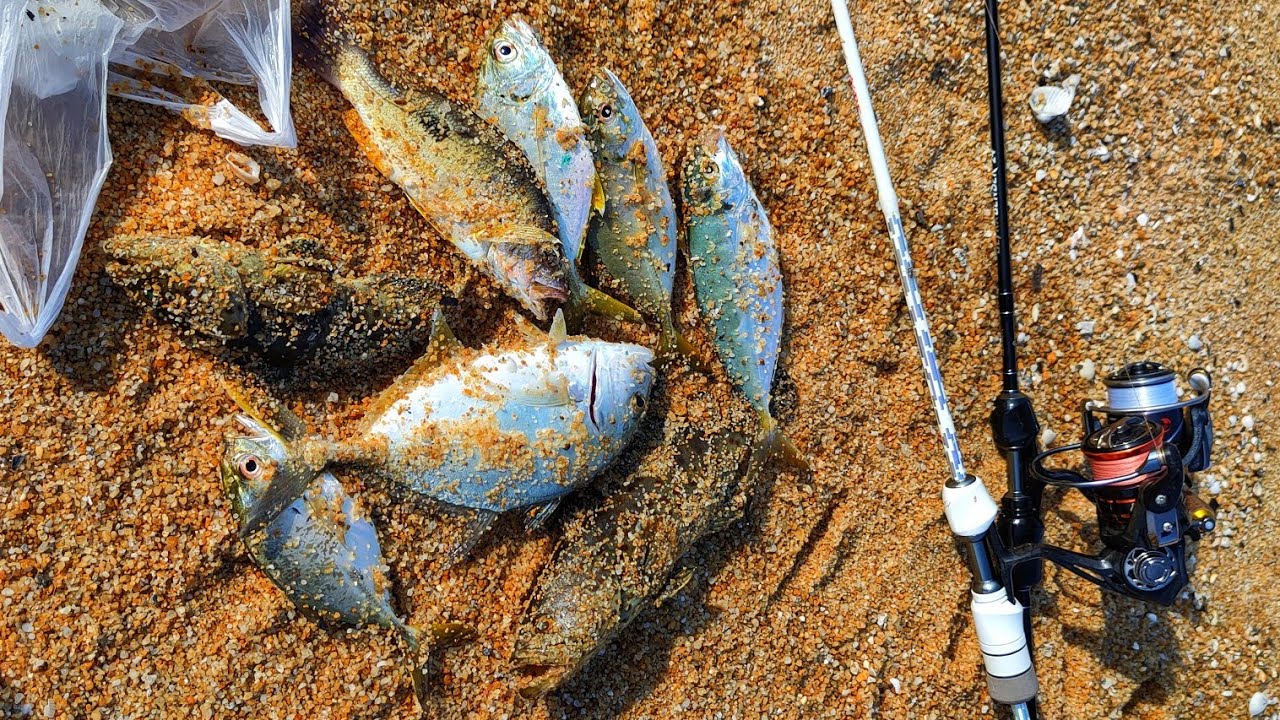 Memburu Spesis Ikan Pelagic Di Dungun | ULTRALIGHT FISHING MALAYSIA ...