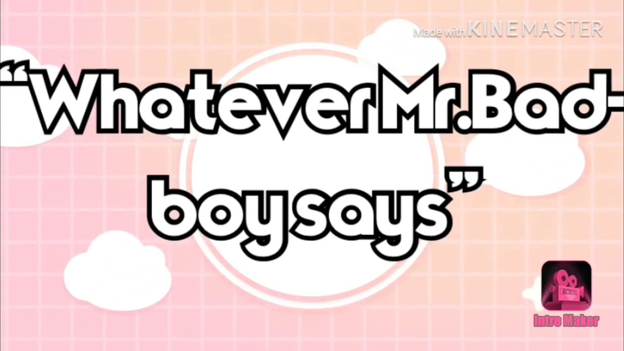 ~| WHATEVER MR.BAD-BOY SAYS |~ ! Original! Part 3, READ DESCRIPTION ...