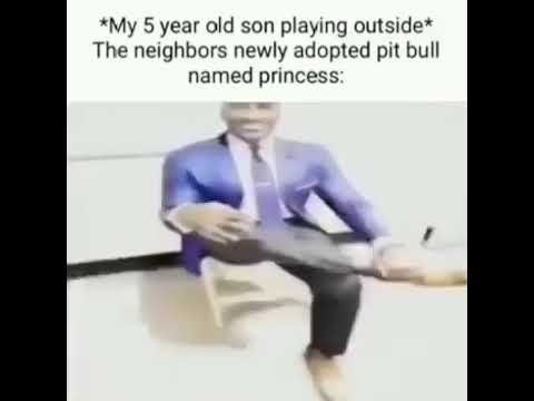 Pitbull named princess - YouTube