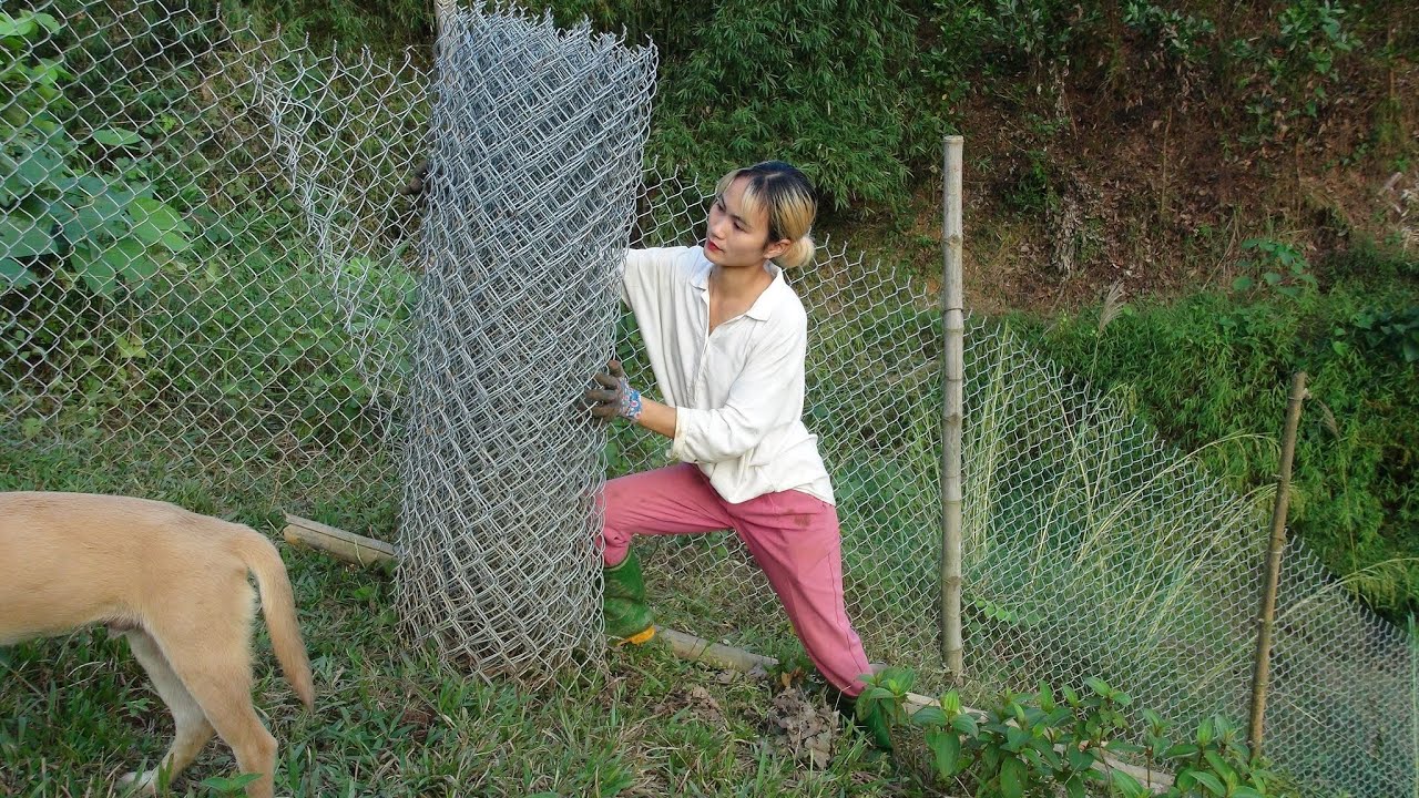 How to make mesh fence for farm garden - Green Forest life - daily life ...