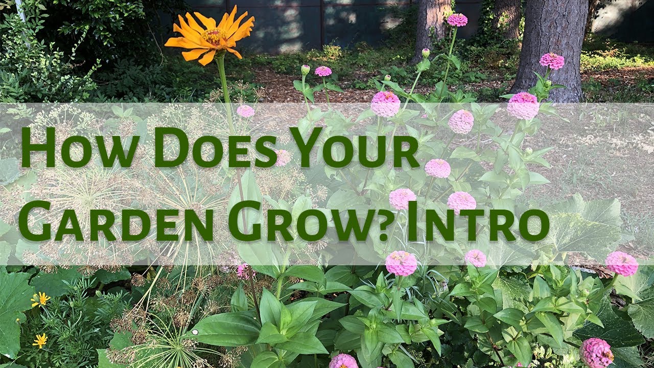 How Does Your Garden Grow? Intro - YouTube