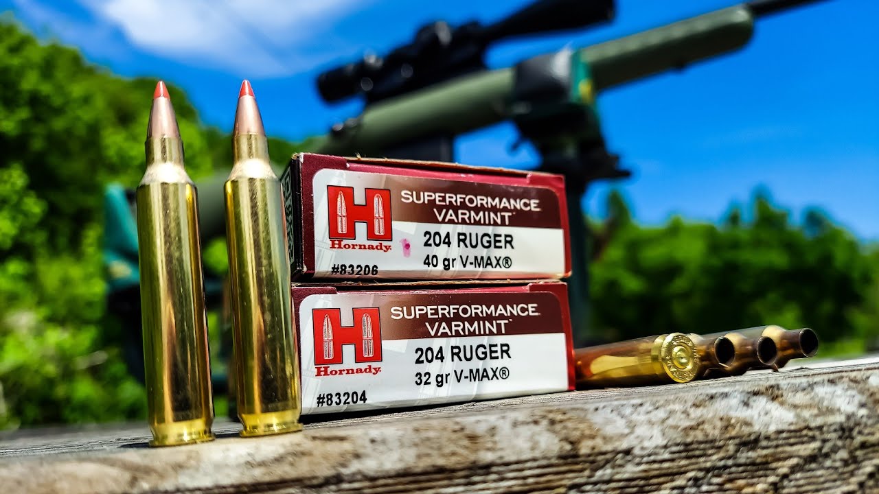 204 Ruger 100 YARD GROUPS - 32gr vs 40 gr | VERY IMPRESSED - YouTube