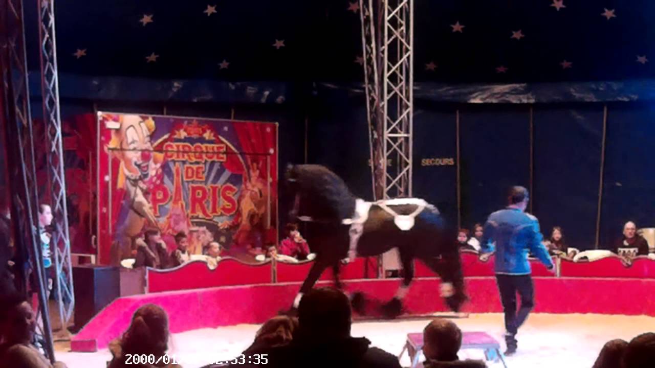 Le Cirque de France et venu dans Le Pas De Calais - YouTube